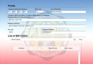 How to Use eBIR Forms Offline (Step-by-Step Guide)