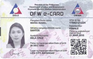 How to Get an OWWA OFW eCard Online in 2024 (Quick Guide)