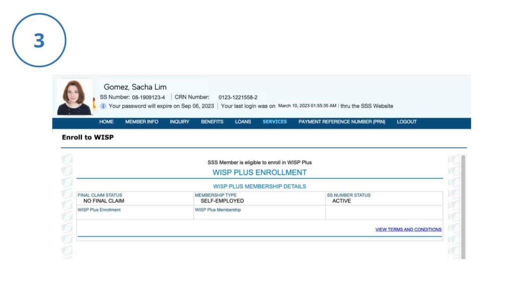 How to Invest in SSS WISP Plus (Benefits and Earnings)